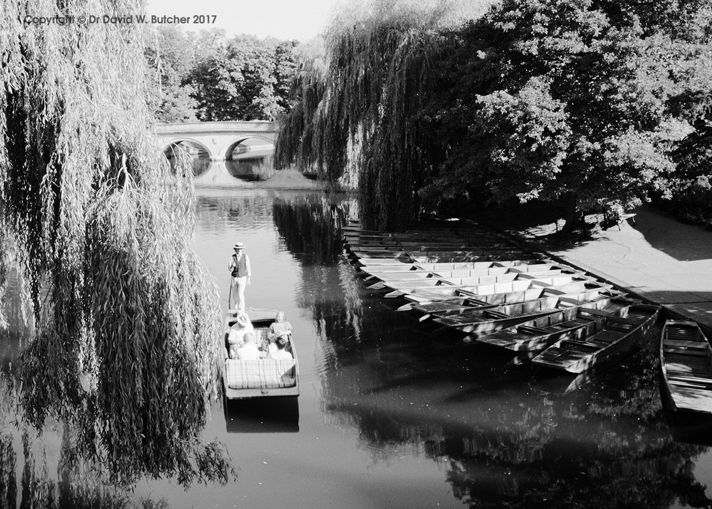Cambridge Trinity College Bridge, Punt and River Cam - Dave Butcher