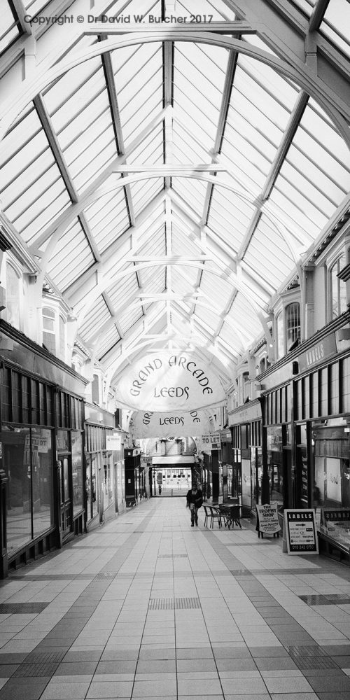 Leeds Grand Arcade - Dave Butcher
