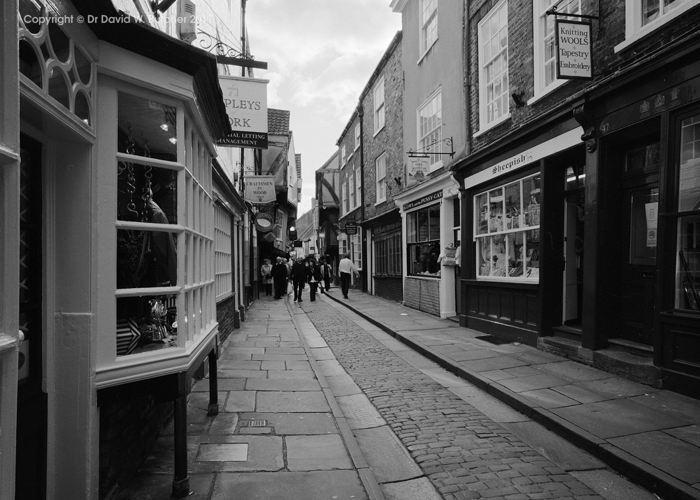 York Shambles Dave Butcher