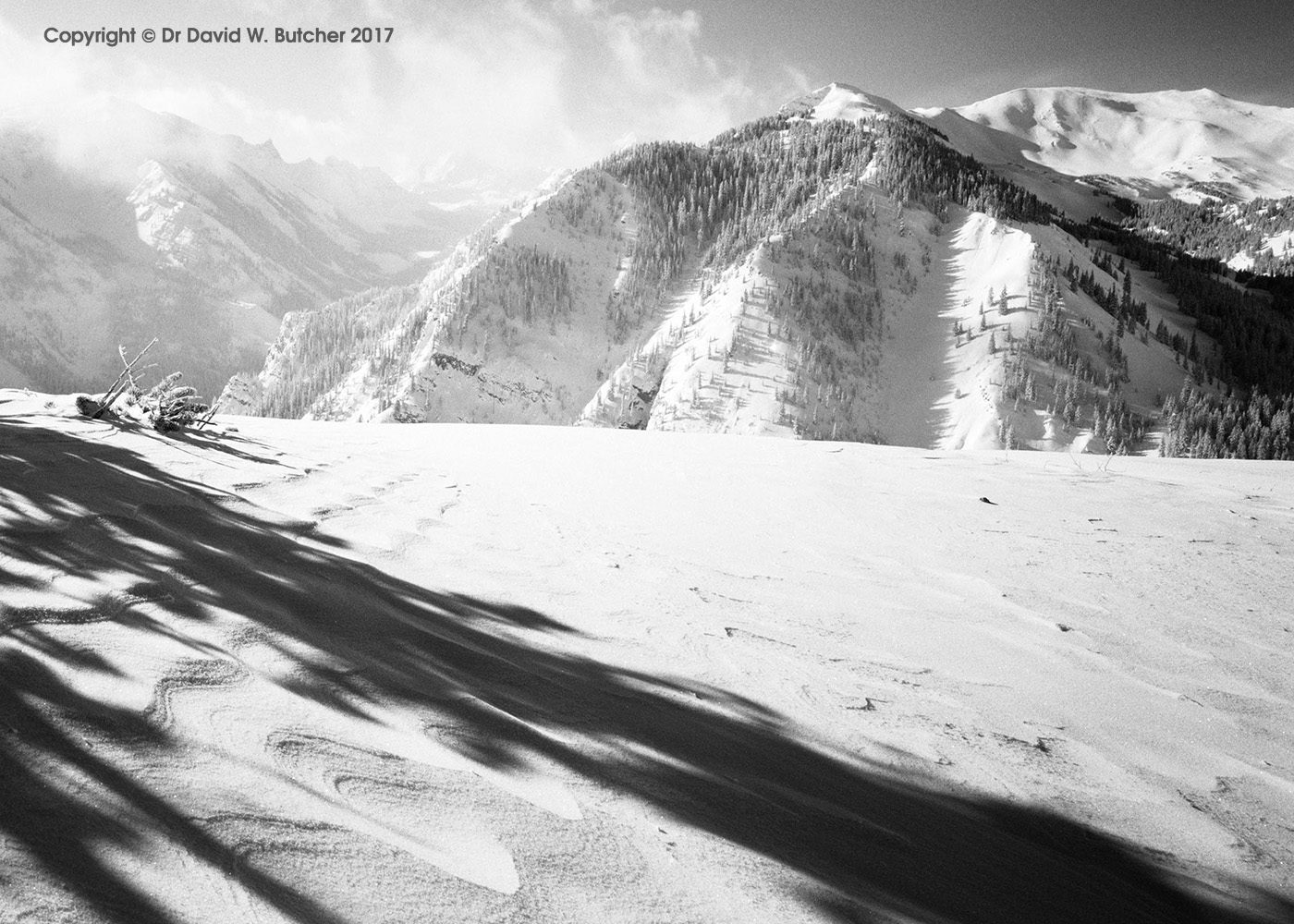 Snowmass Elk Camp View, Colorado, USA - Dave Butcher