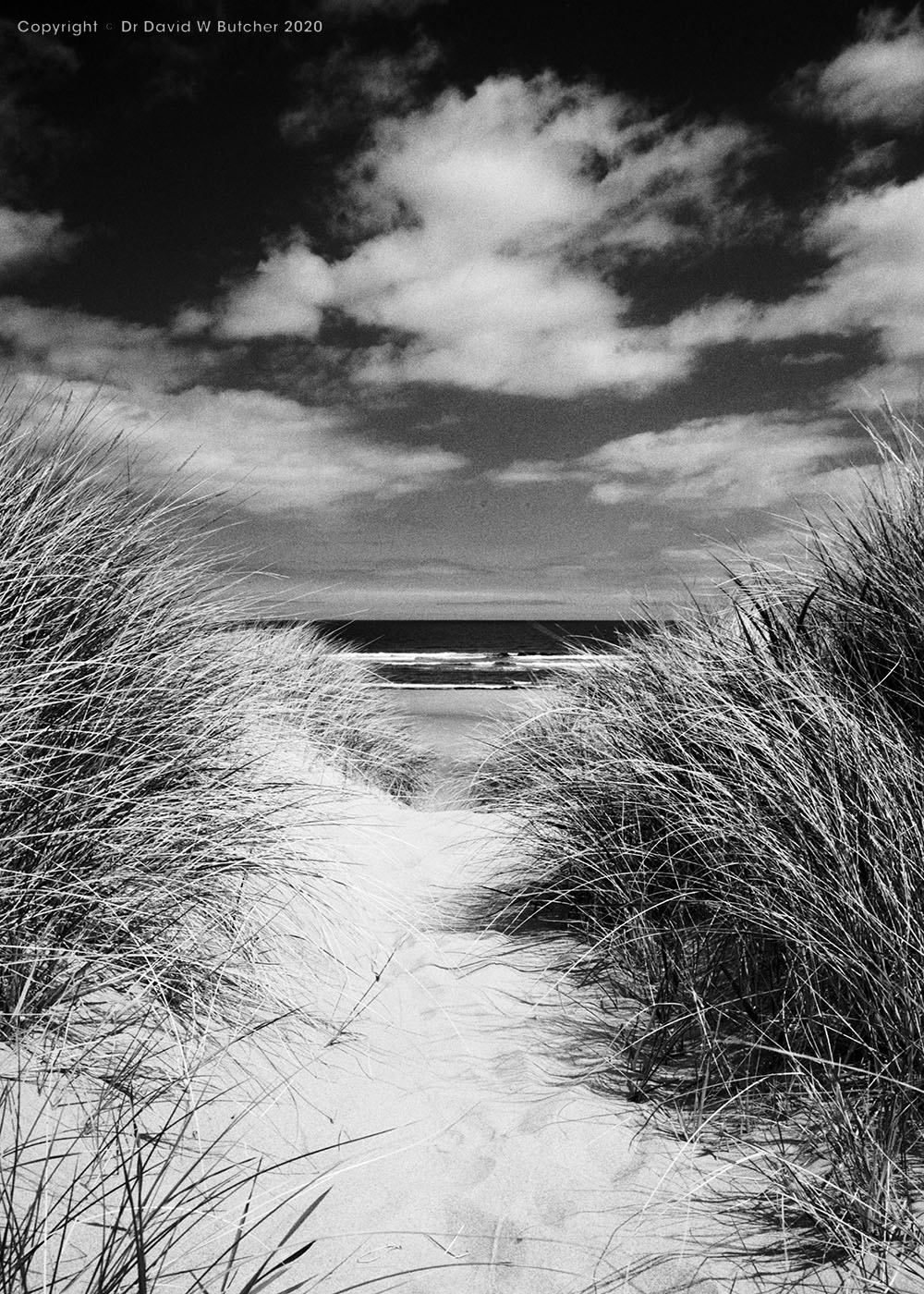 Northumberland Coast Path Trek - Dave Butcher
