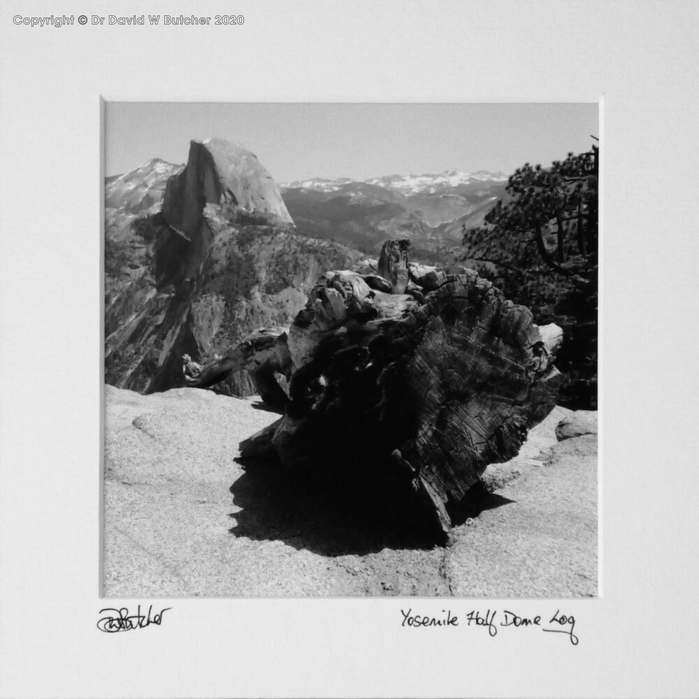Usa Yosemite Half Dome Log 20x20cm Dave Butcher